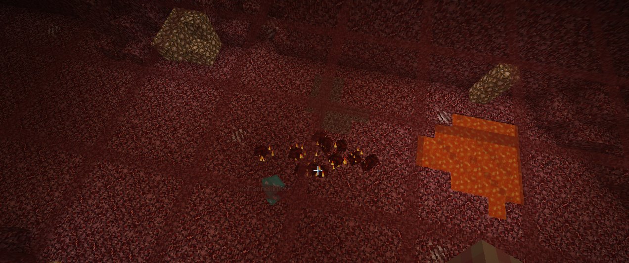 Fun with Magma Cubes.. How do you care for yours in the Overworld, Nether?